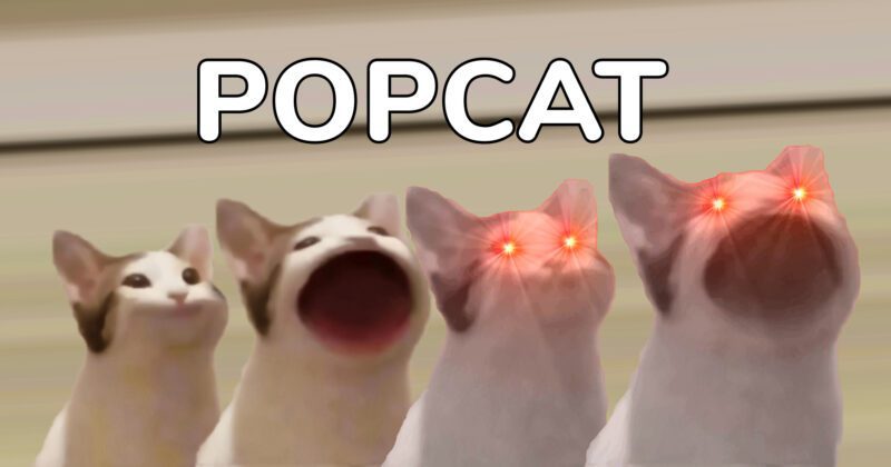 เกม popcat วิธี เล่น (สิงหาคม 2021) รู้เรื่อง Game Zone! - ZodiMag